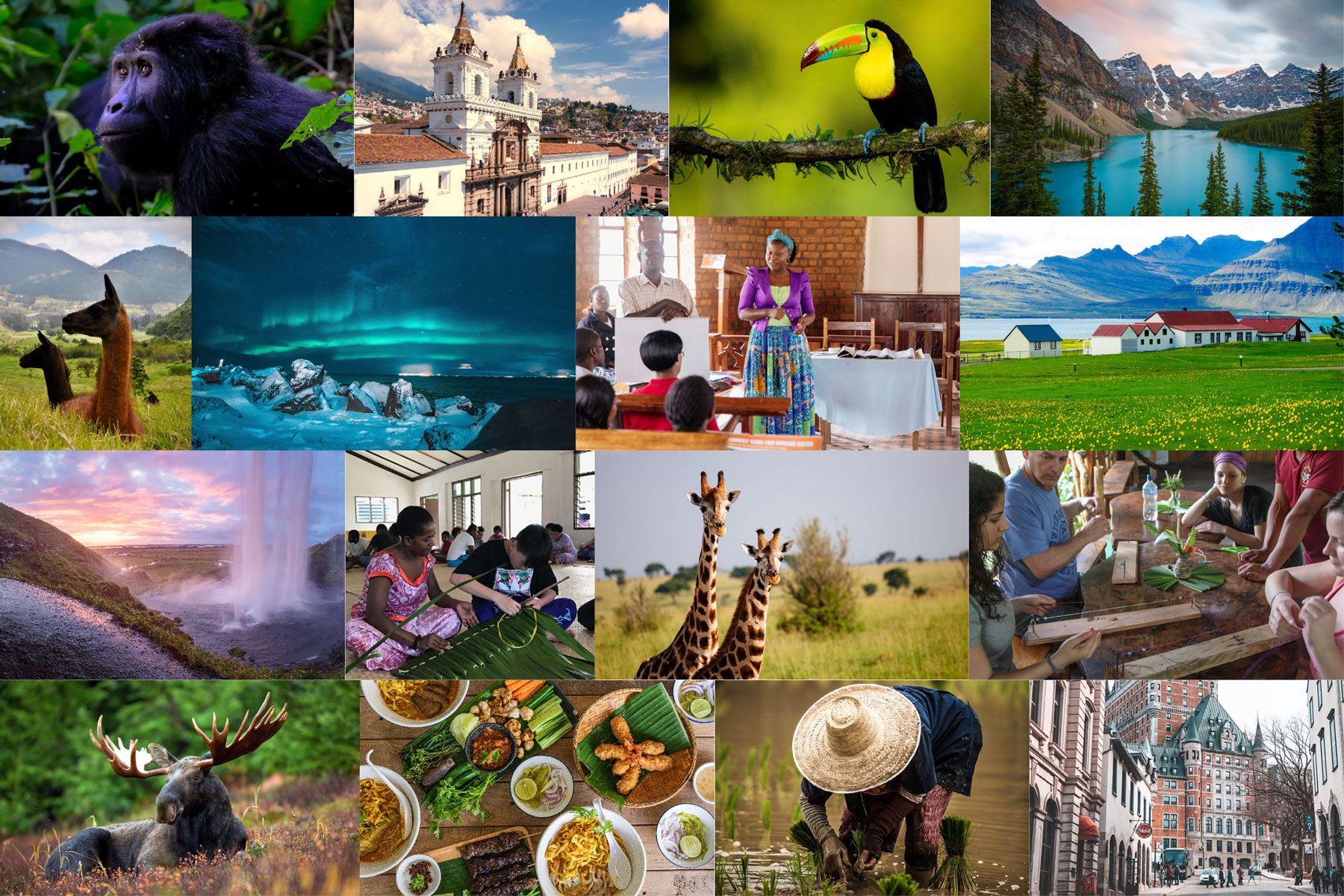 Welcome - Insight Global Education